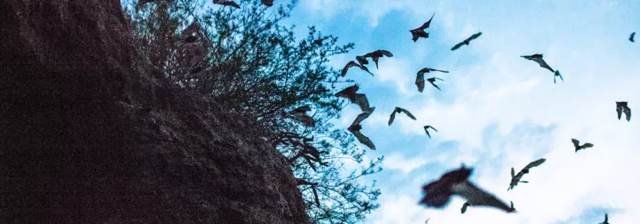 Parras de la Fuente, Coahuila: atrakce a turistická místa 13180_9