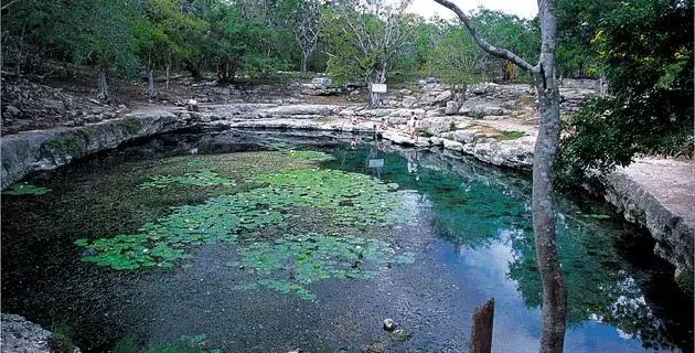 Pariki ya Dzibilchaltun (Yucatan)