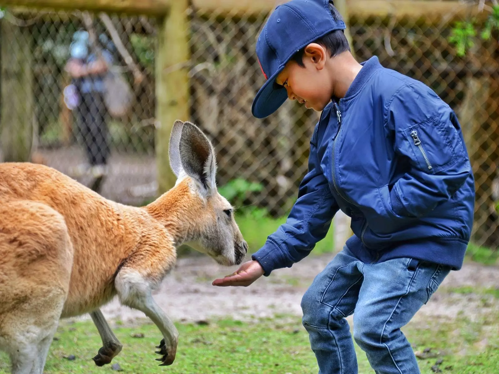 Meksikadakı zooparklar