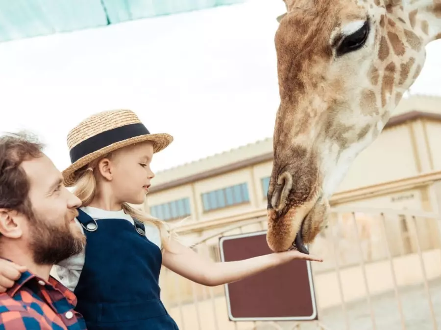 Meksikadakı zooparklar