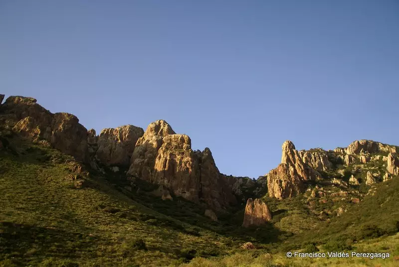 Coahuila