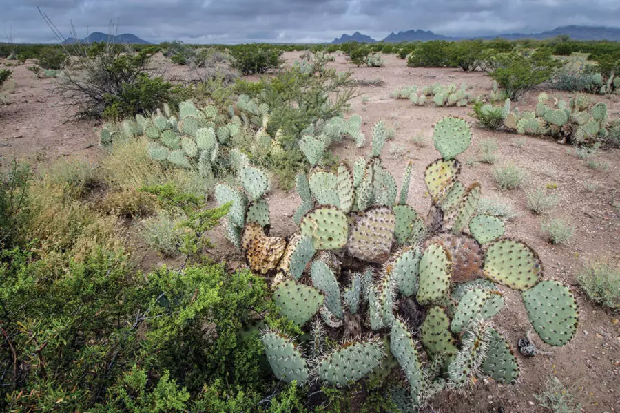 Zone of Silence, Mexico