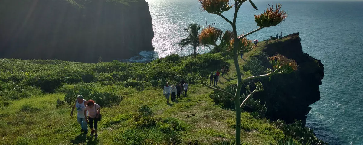 Roca Partida, quncika bilind a Veracruz fifu