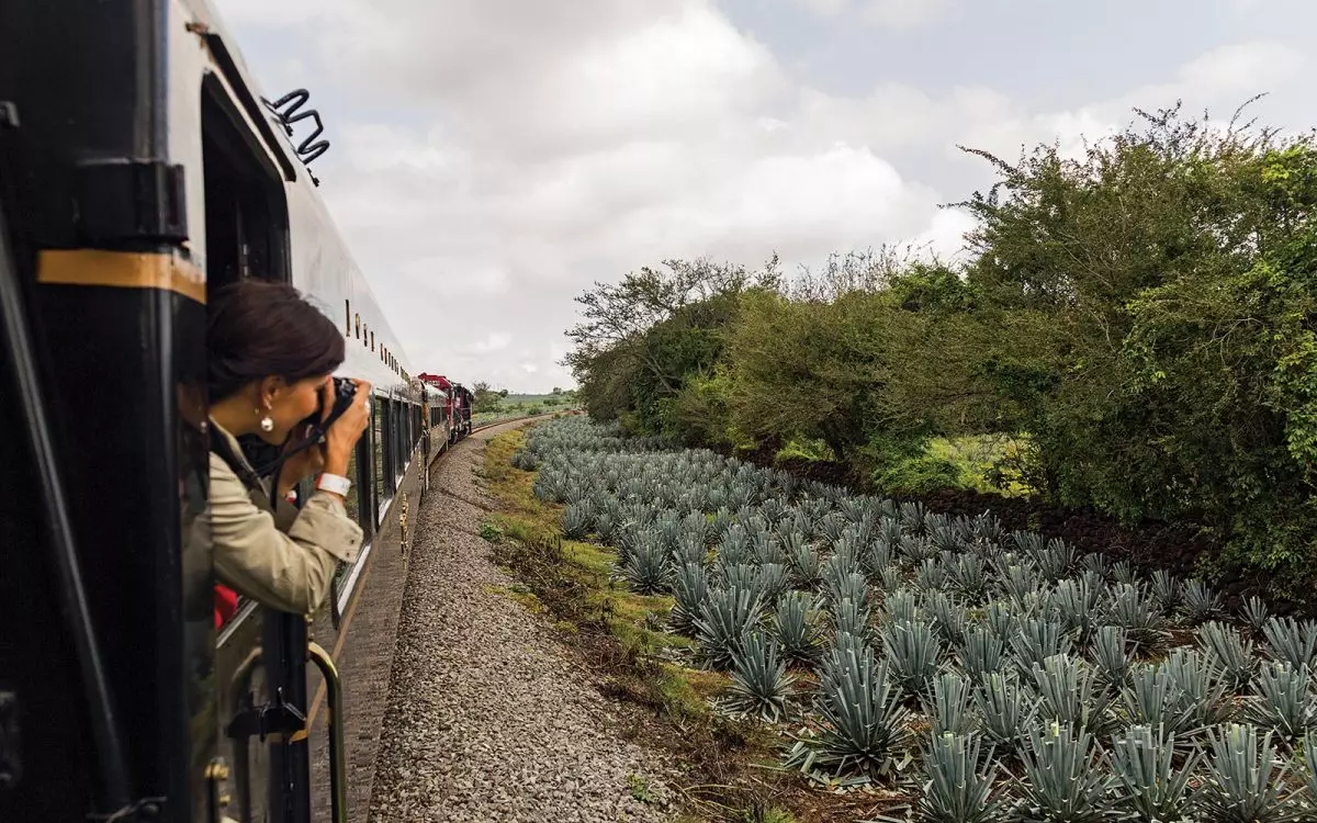 Perjalanan ekspres ke Tequila, Jalisco 13848_4