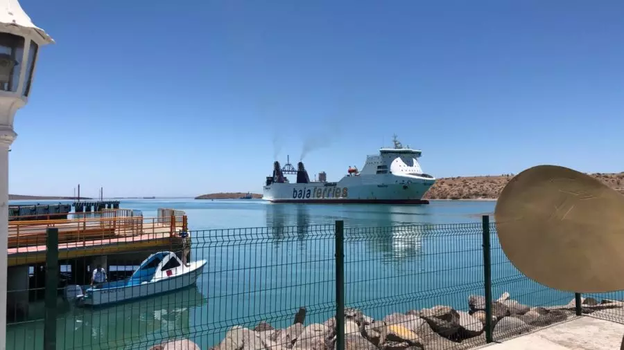 Baja Ferries: il-vjaġġ ta' kelb fuq vapur 14212_2