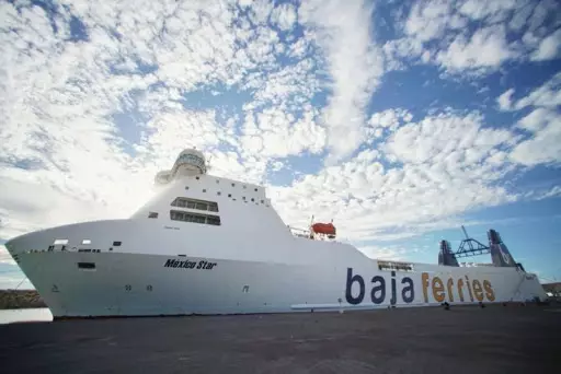 Baja Ferries: il-vjaġġ ta' kelb fuq vapur 14212_3