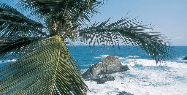 Pantai Colima fifu