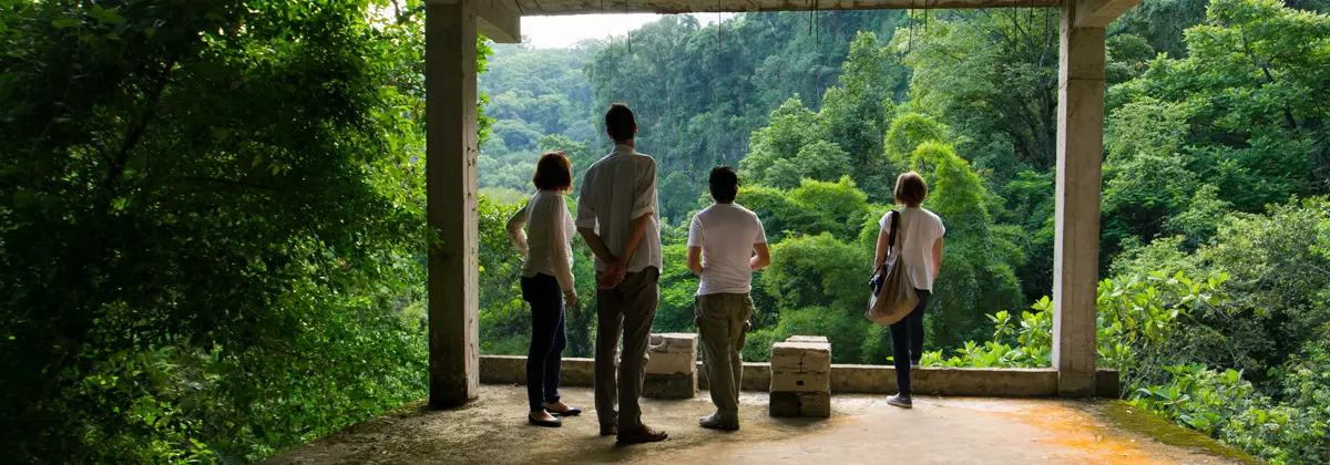 xilitla-san-luis-potosi-sürrealist-garden-dh