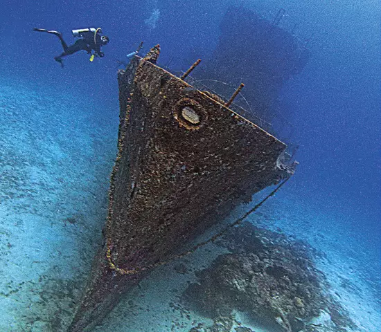 Cozumel ရေငုပ်ကျောက်တန်းများကို သိအောင်လုပ်ပါ။ 15037_2