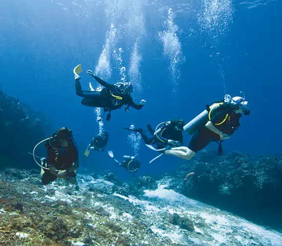 გაიცანით Cozumel diving-ის რიფები 15037_3