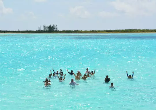 Kilalanin ang mga reef ng Cozumel diving 15037_5