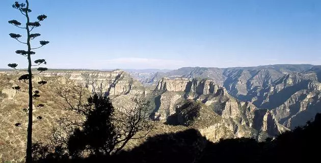 Ang Sinforosa canyon, rayna sa mga canyon (Chihuahua) fifu