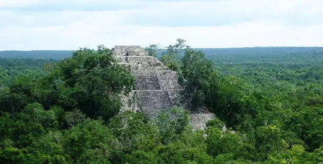 Etelä-Campeche fifun viidakot