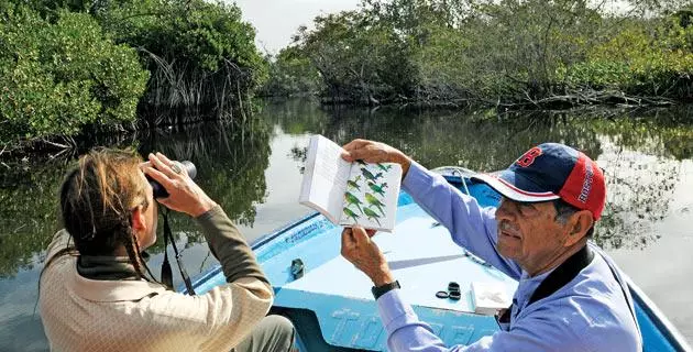 4 wout pou obsève zwazo nan Nayarit fifu