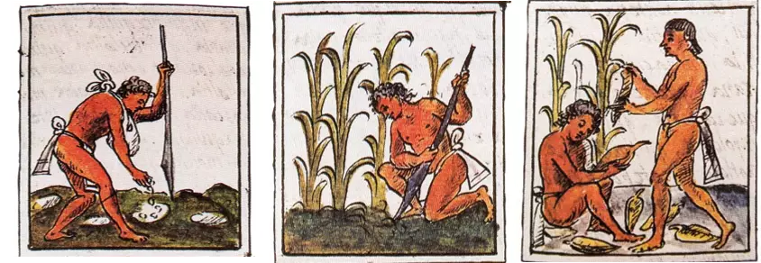 Dewa jagung ing donya pra-Hispanik 16643_3