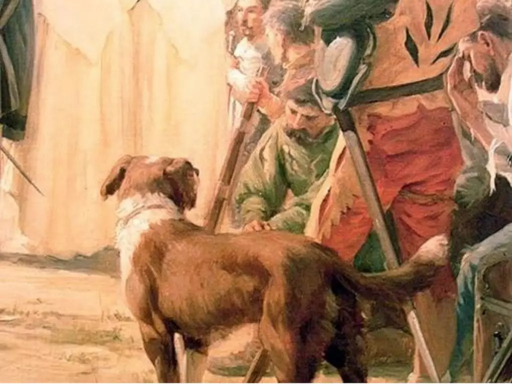 Anjing-anjing ganas yang digunakan dalam Penaklukan untuk menundukkan orang asli 16646_2