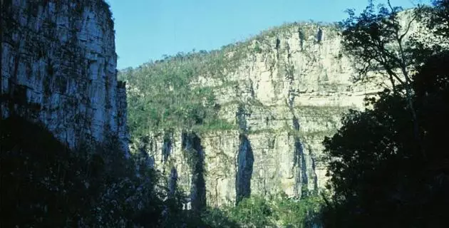 Gezgin ipuçları Ocote Jungle (Tabasco) fifu