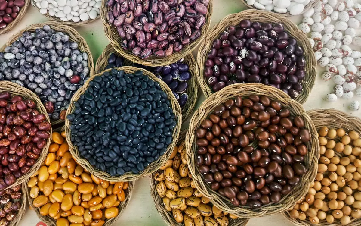 Foire du maïs, des haricots et de l'amarante