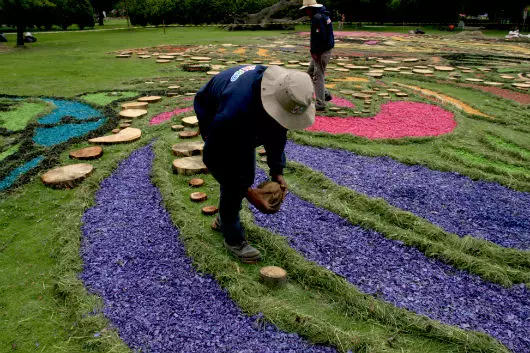 Pitulung ngabentuk karpét kembang panggedéna di CDMX 17164_3