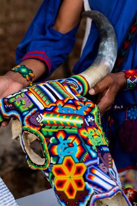 Com essas bolsas, os Huicholes poderão continuar criando arte 17237_10