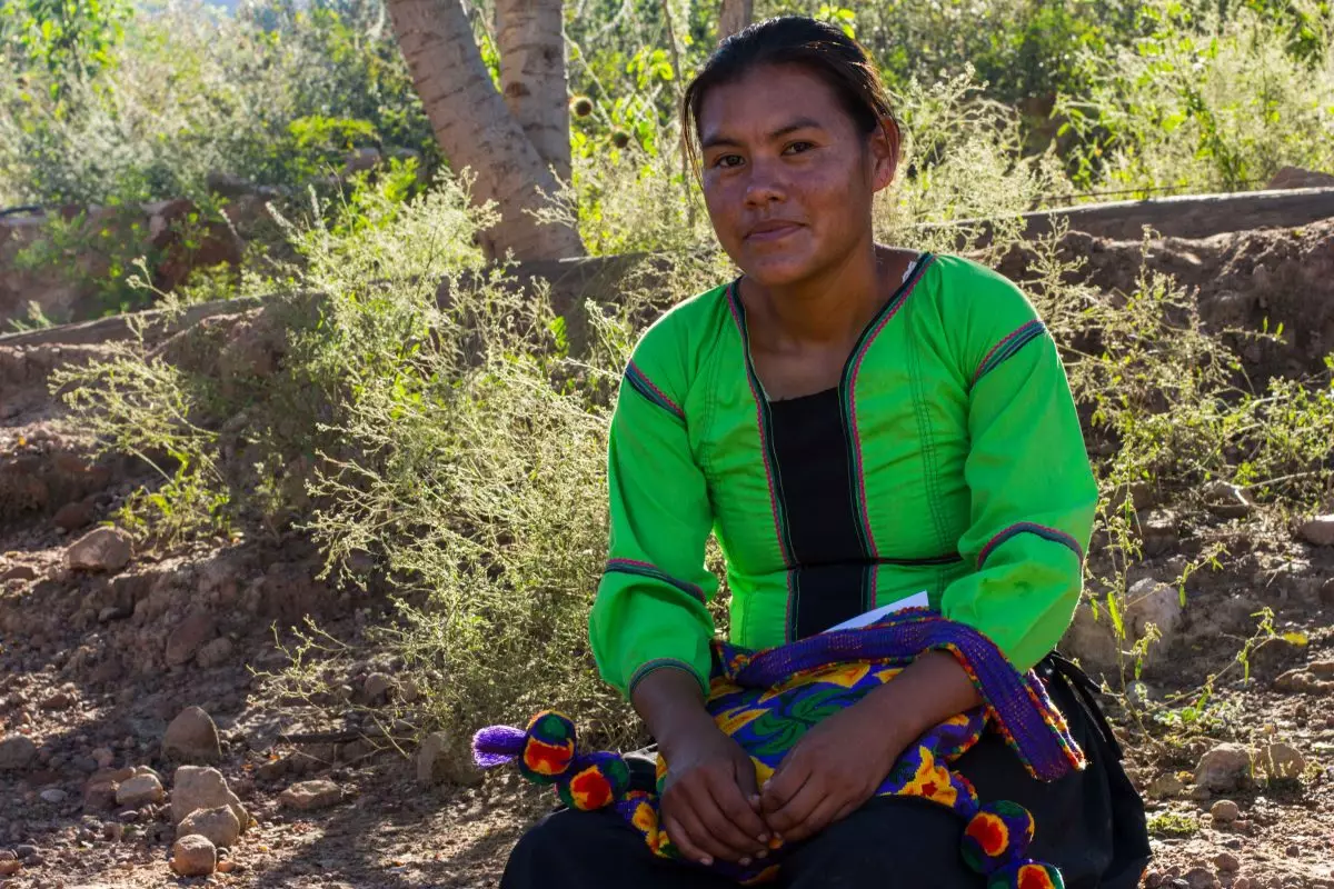 Com essas bolsas, os Huicholes poderão continuar criando arte 17237_8