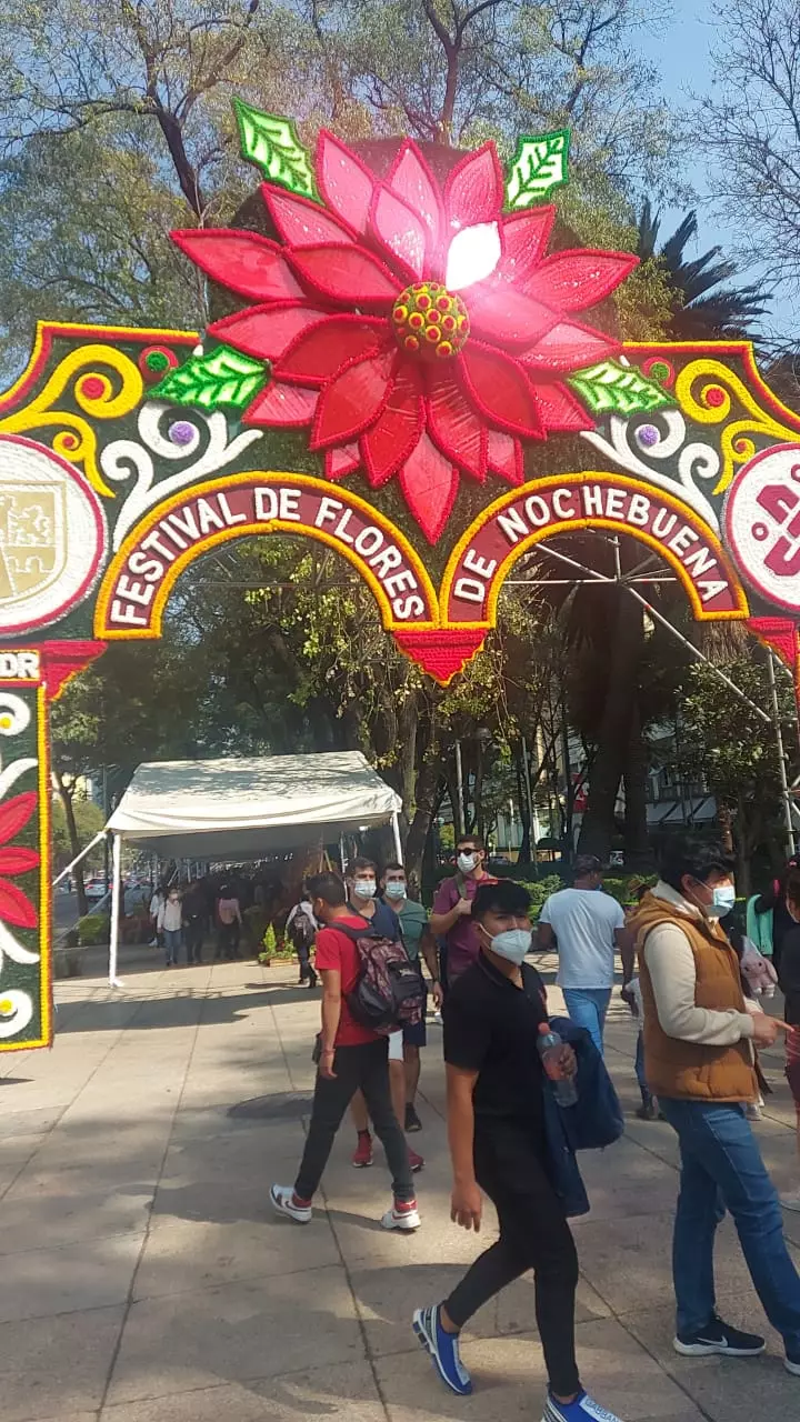 Reforma de la CDMX-də Milad ərəfəsi festivalı 17313_2