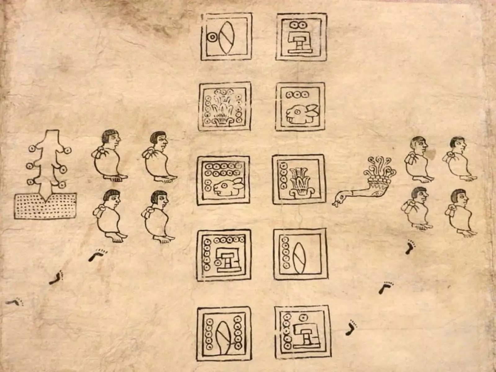codex boturini