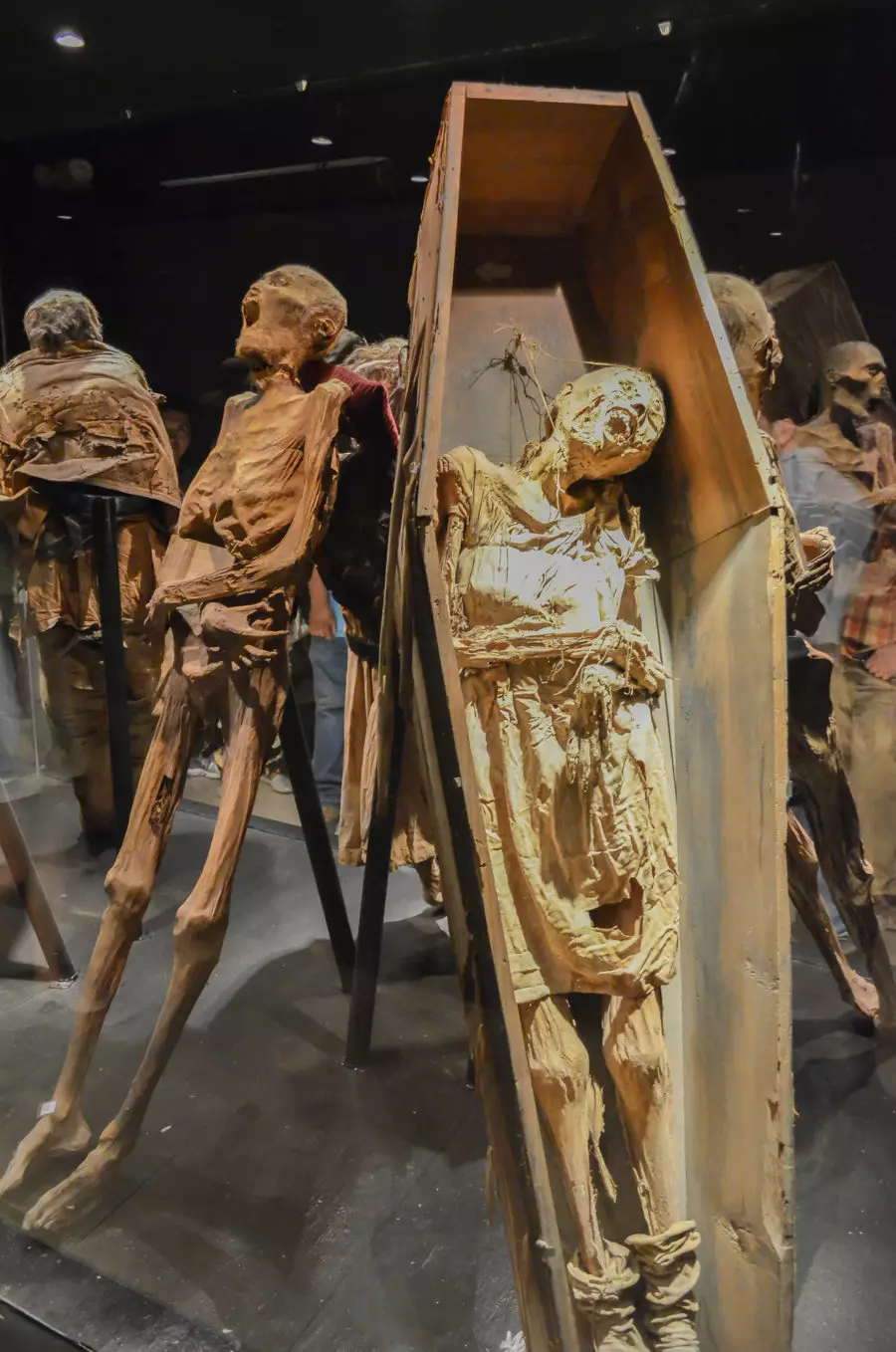 Garsioji Gvanachuato mumija nebuvo ragana: specialistė 17491_7