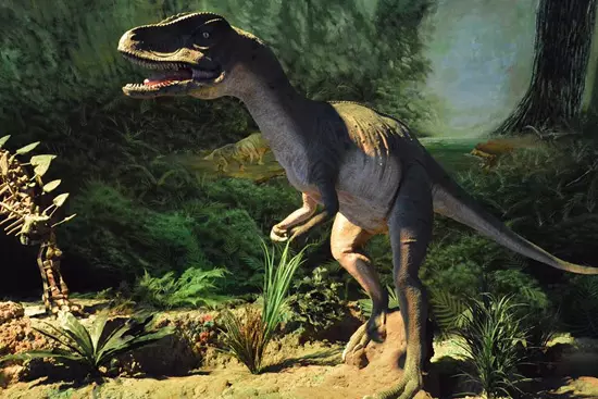 Približite se svijetu dinosaurusa u Muzeju evolucije 17525_3