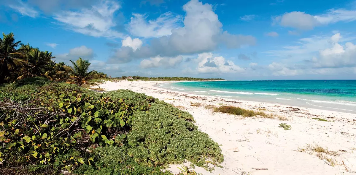 23 plazhe në Quintana Roo ideale për t'u vizituar 17662_2