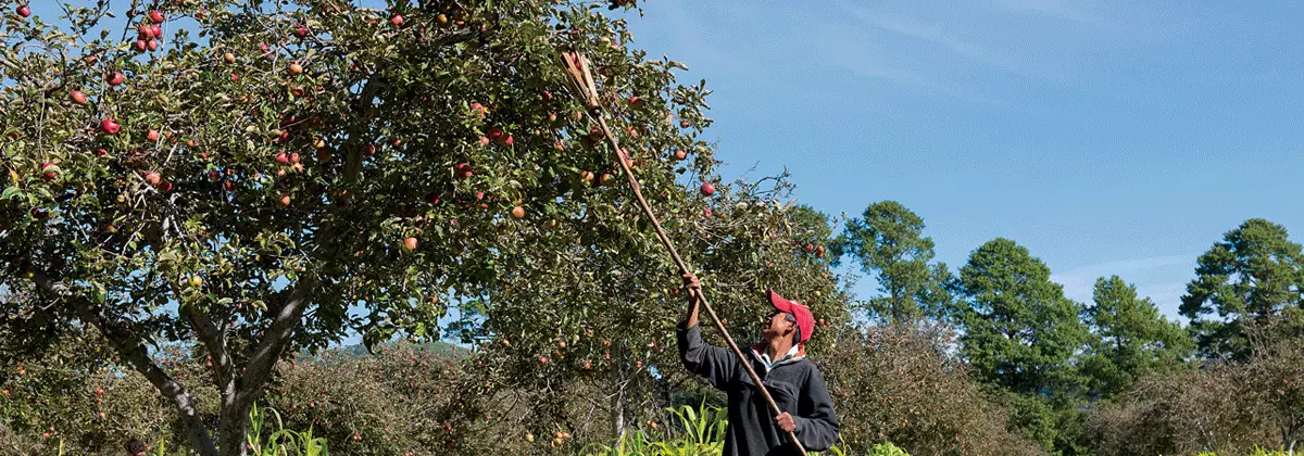 zacatlan-apples-magical-towns-mexico-mf_0