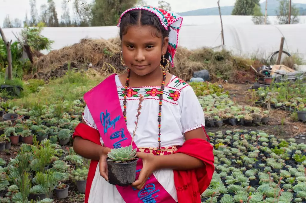 Xochimilco, Liewen tëscht Kanäl a Blummen 18012_7