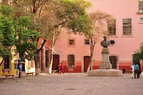 Tangkal cinta di Zacatecas