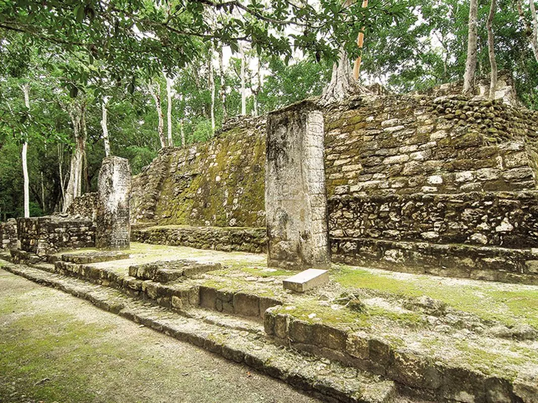 Calakmul, Garkuwan Gadon Dan Adam 18151_3