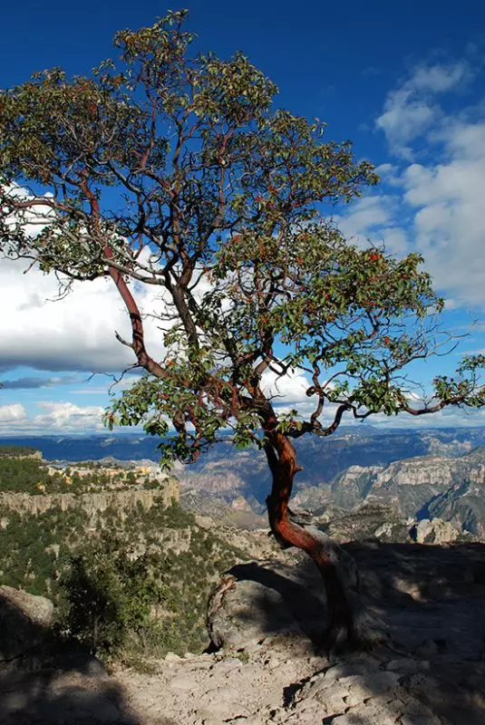 Büyüleyici Divisadero ve Barrancas del Cobre Macera Parkı 18294_4