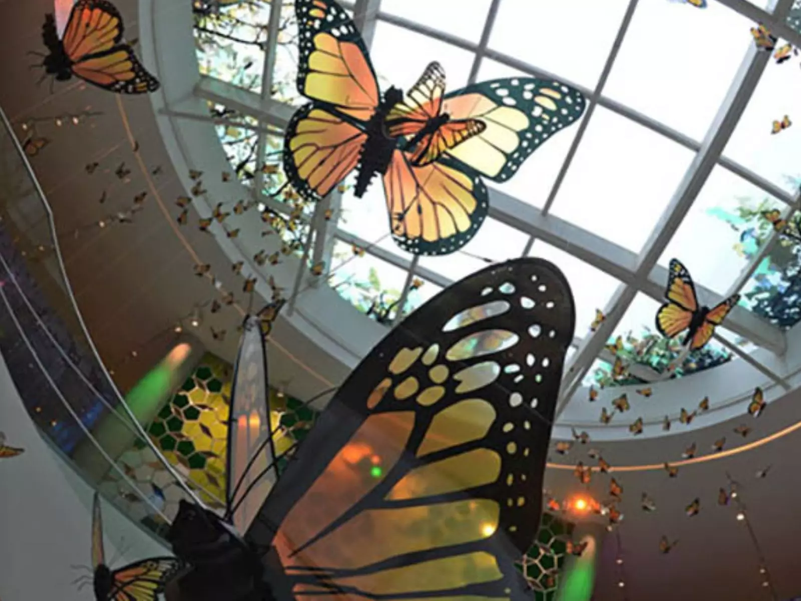 Biomüxtəlifliyin Milli Pavilyonu, UNAM-da interaktiv muzey