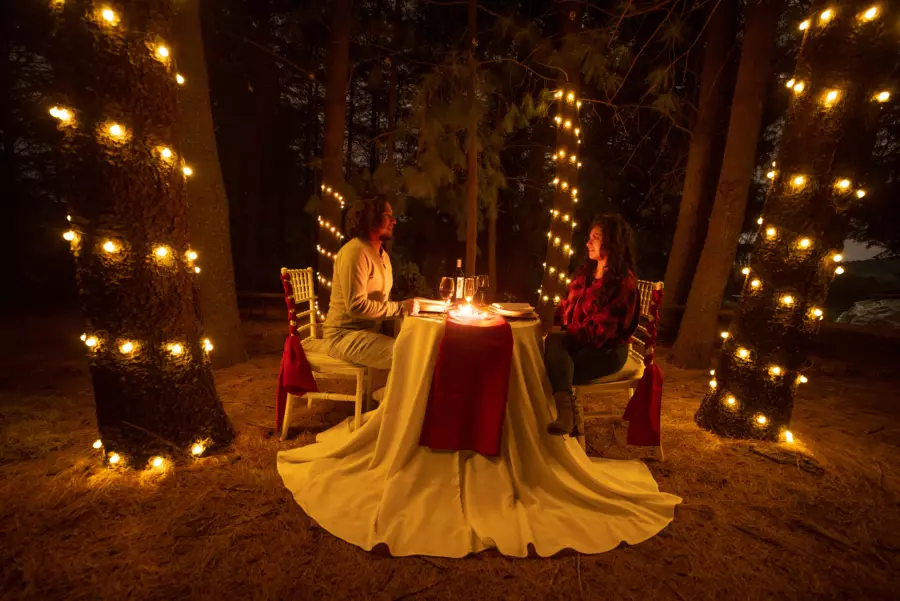 رومانوی منصوبے! رات کا کھانا Tlaxcala کے جنگل کے وسط میں کھائیں۔ 18952_6