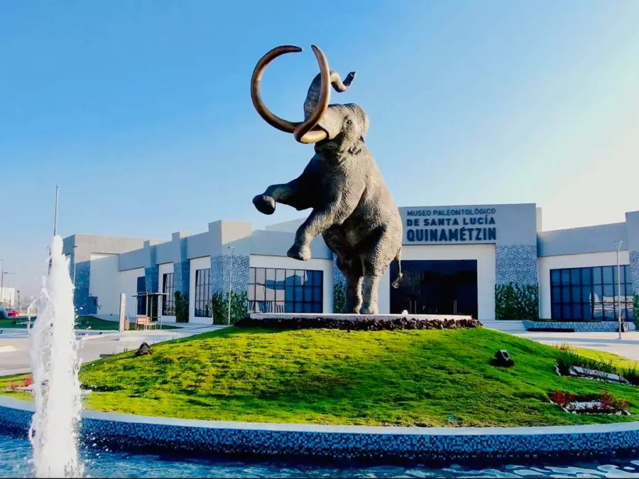 Mammoths ng Felipe Angeles National Airport 189_2