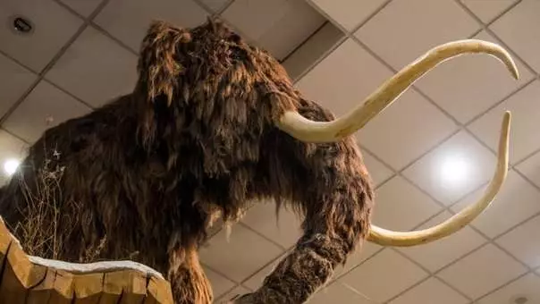 Mammoth-museet i Tultepec bliver udvidet