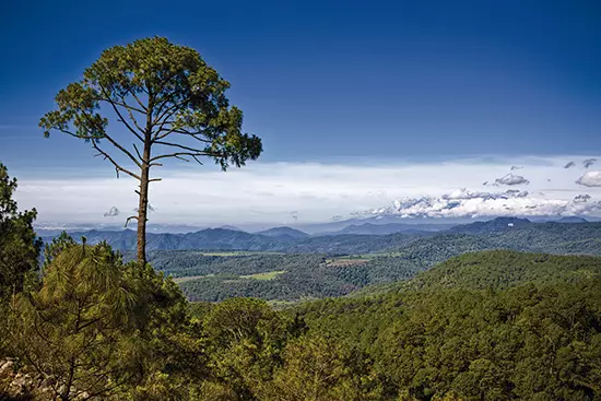 එන්රික් එස්කලෝනා