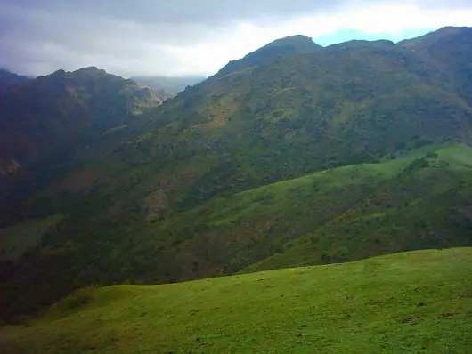 ഫ്ലിക്കർ/ഇഗ്നാസിയോ ലവൽ