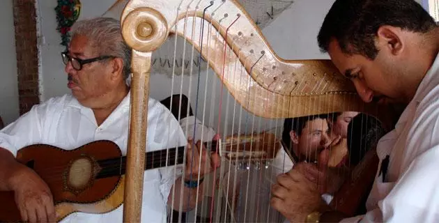 oğlu jarocho fifu