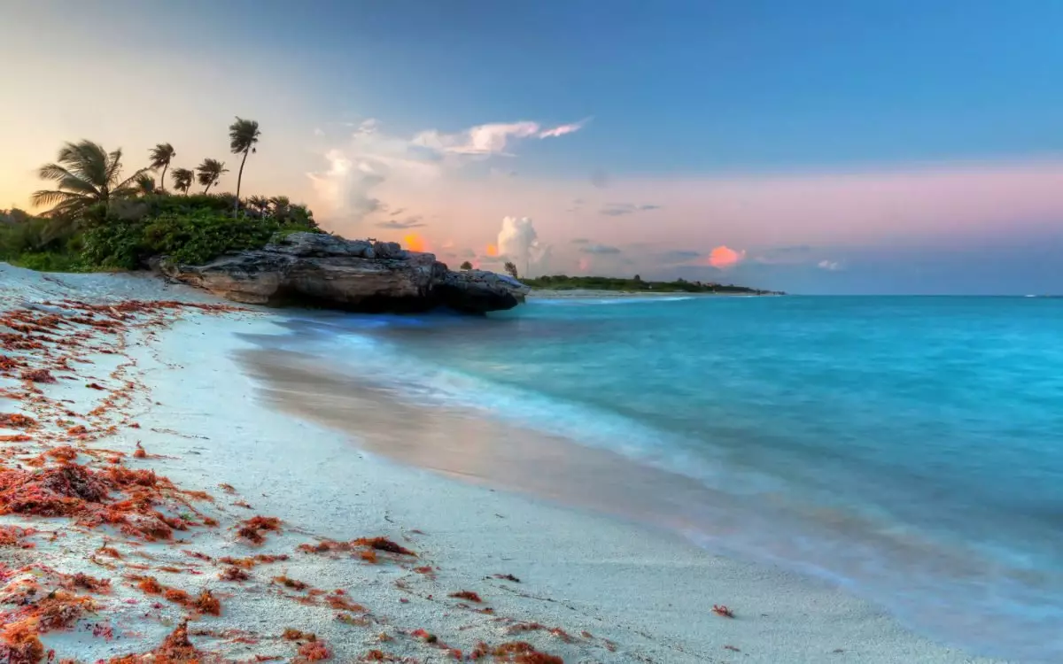 여름에 멕시코 해변을 방문해야 하는 5가지 이유