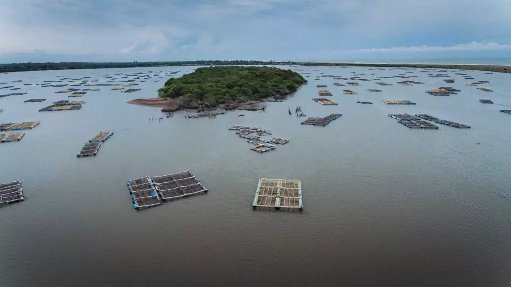 Utøv ansvarlig økoturisme på Isabel Island 20281_7