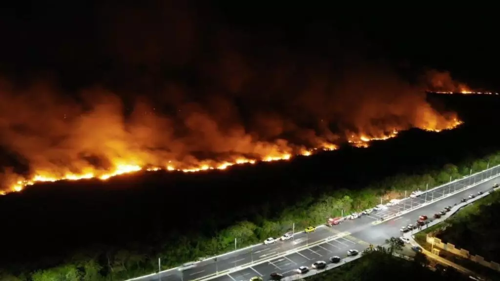 Los Petenes biosfærereservat brenner i flammer 20312_2