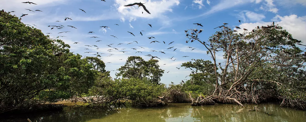 Маршрут Usumacinta Charms: От Ciudad del Carmen до Isla Aguada fifu