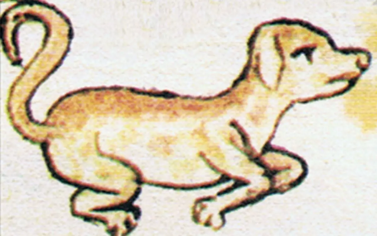 Xoloescuincle muFlorentine Codex