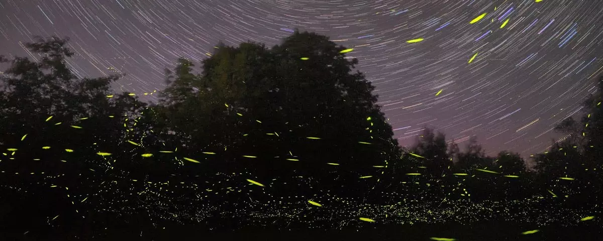 Bersiaplah untuk melihat kunang-kunang di Kota Ajaib Tlalpujahua
