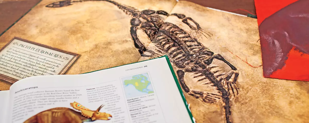 Бірегей тәжірибе: Коахуила фифудағы динозаврлардың іздерін қадағалаңыз
