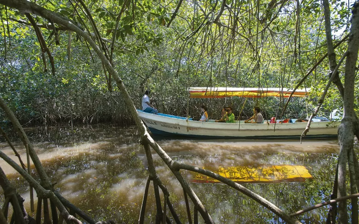 Écosystèmes mexicains, diversité biologique mondiale maximale 20734_6